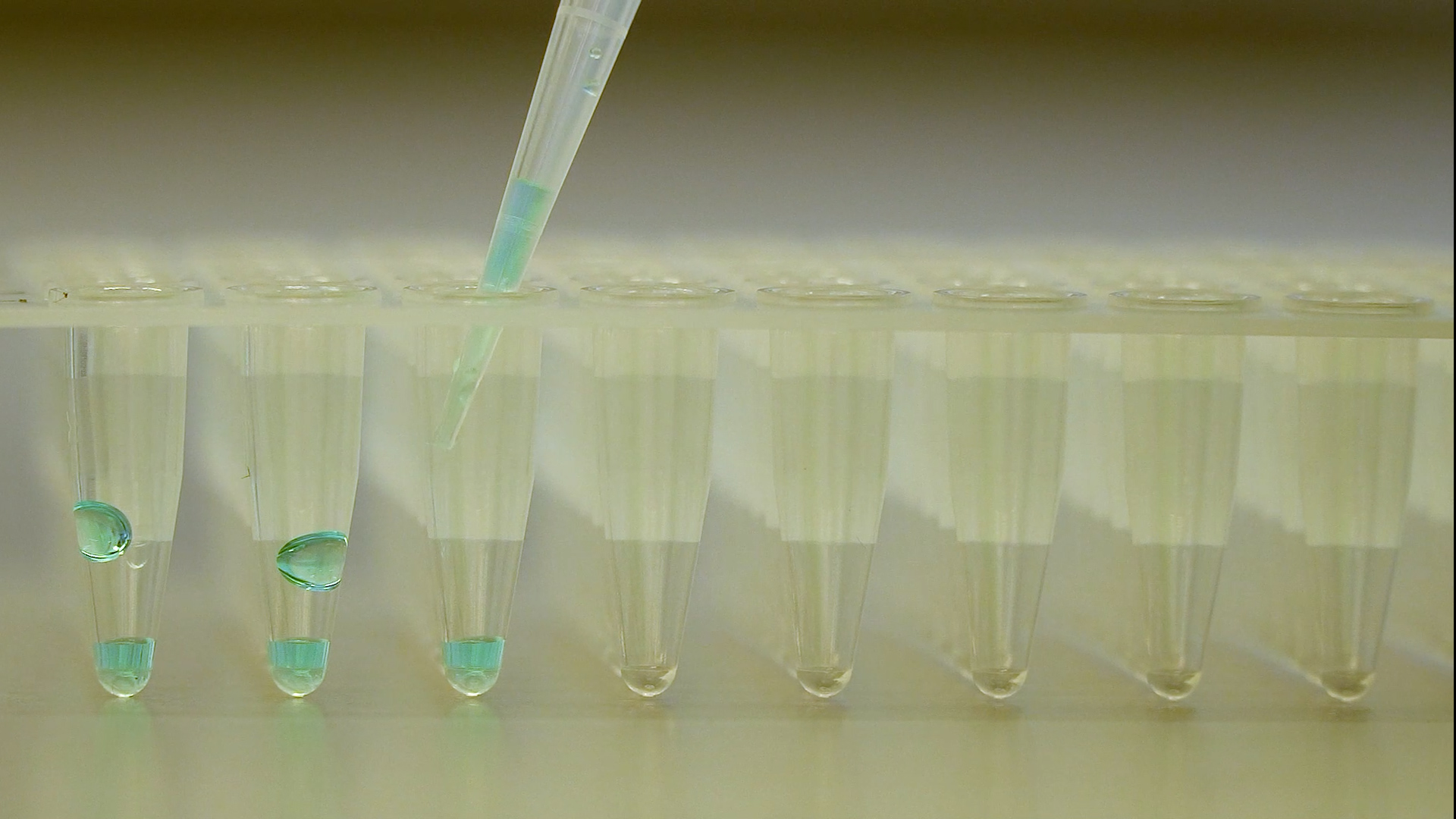 qPCR – labprep.video