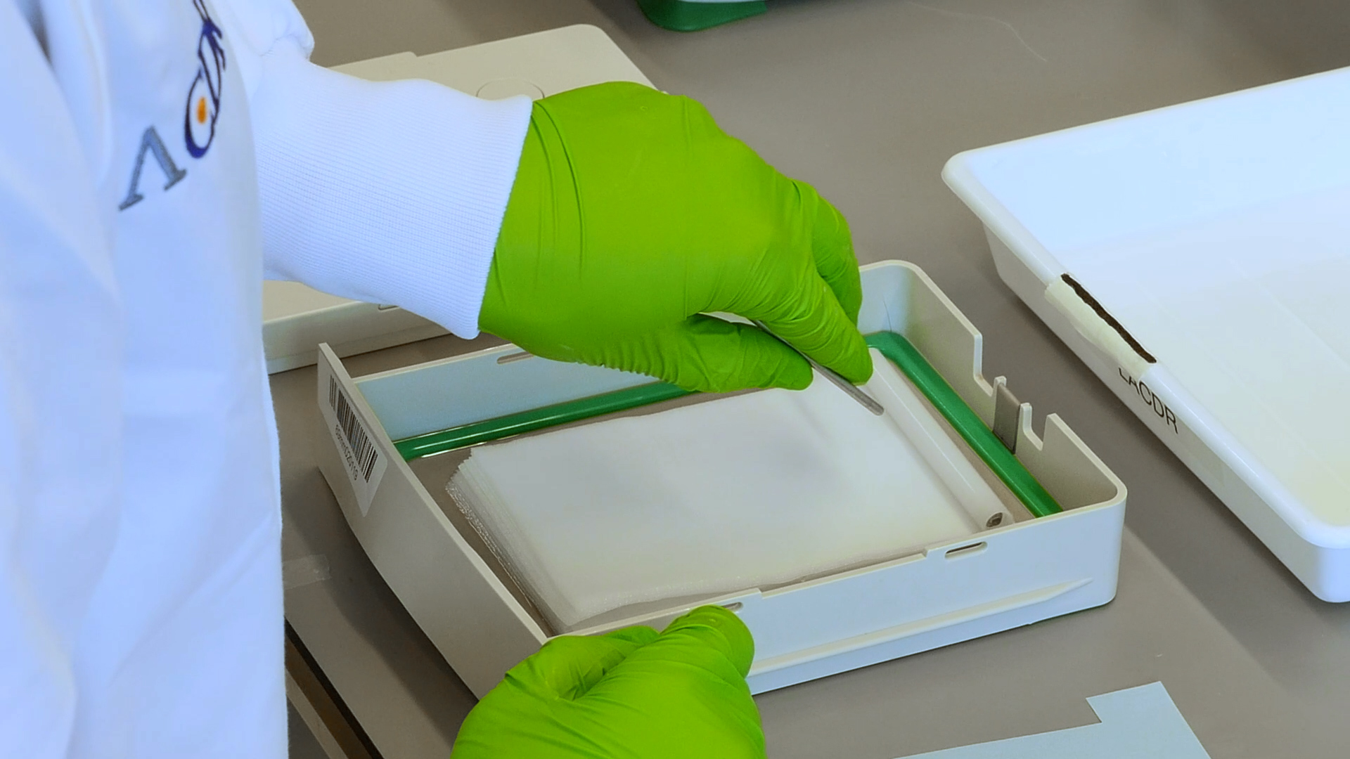 Western blot protein detection – labprep.video