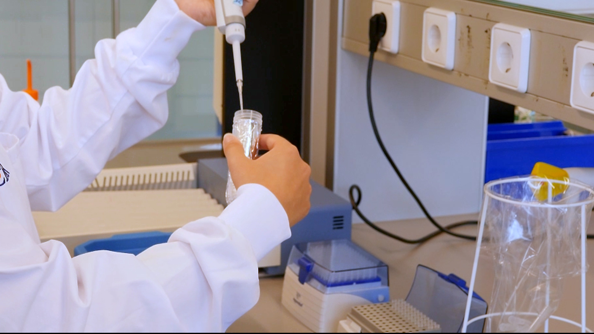 Immunostaining western blot – labprep.video