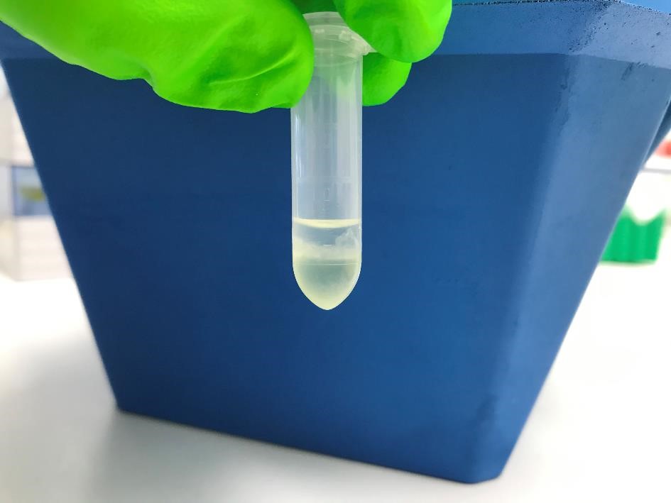 RNA isolation – labprep.video