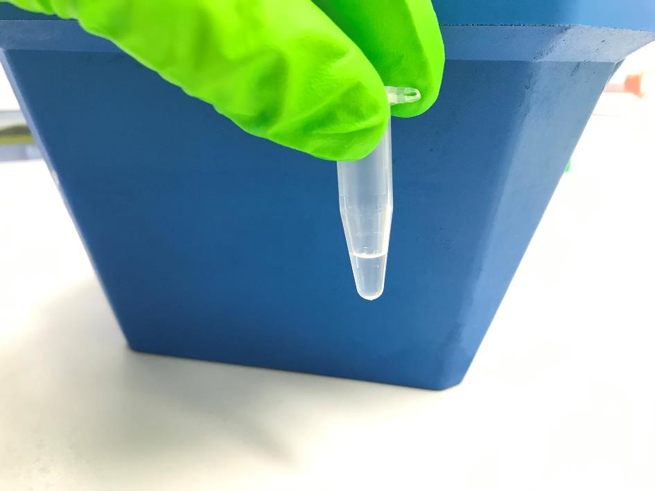 RNA isolation – labprep.video