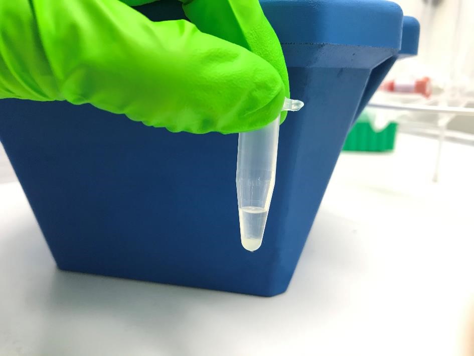 RNA isolation – labprep.video