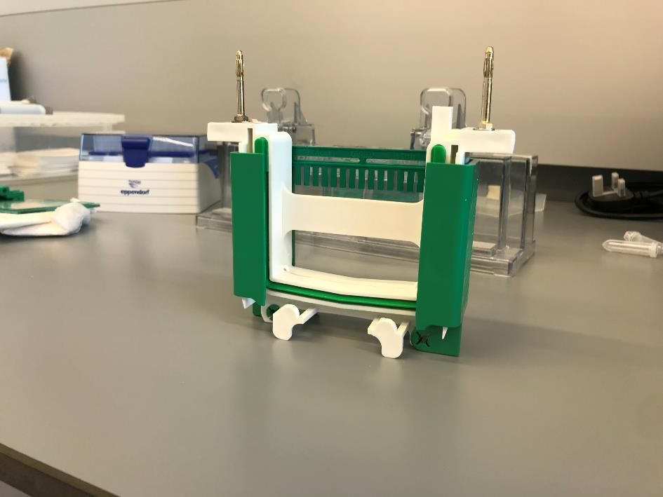 Protein separation – labprep.video